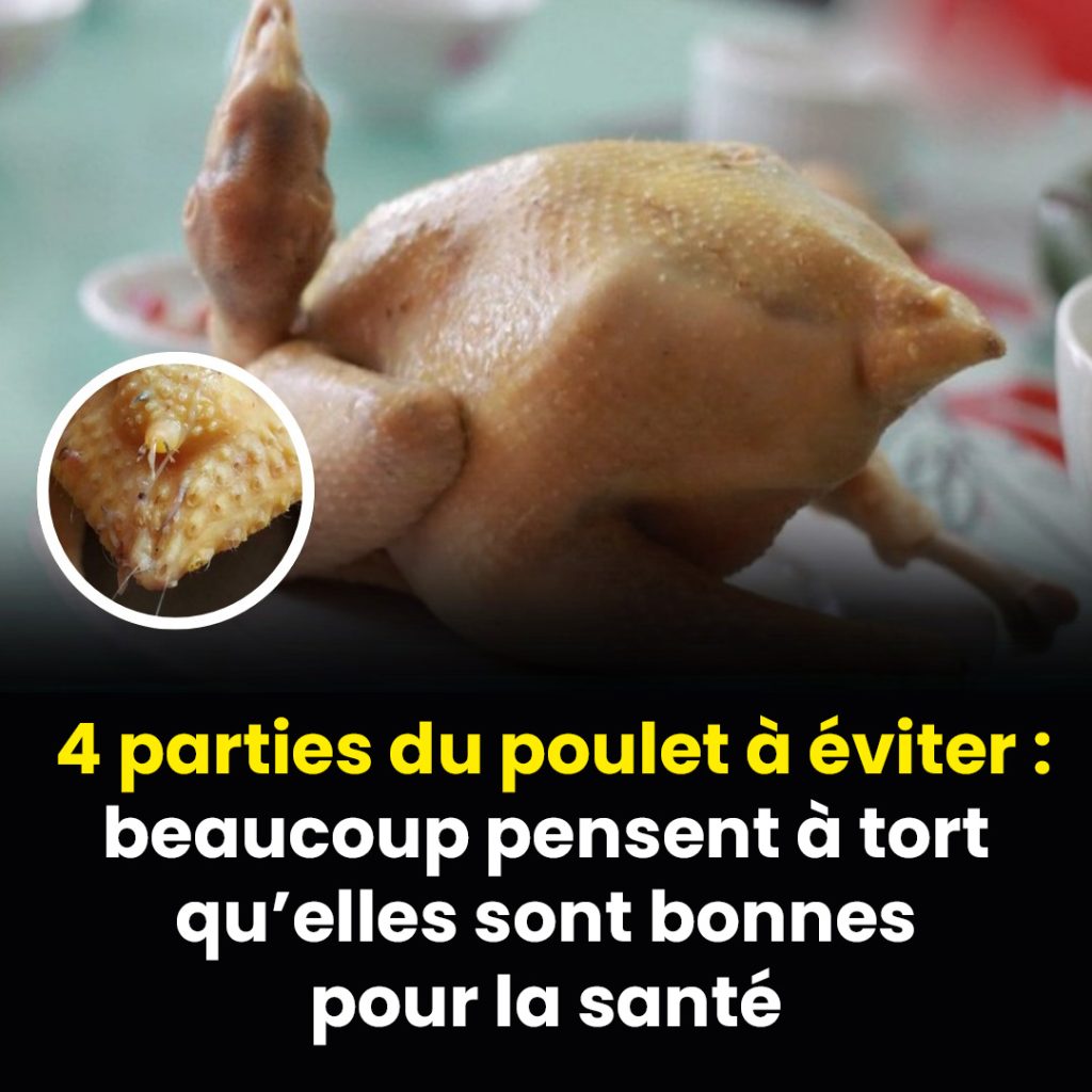 4 morceaux de poulet à (re)découvrir : entre délice et précautions ...